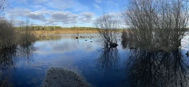 Delamere and Hatchmere Circular - Old Hall Walking Club Chester